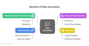 Data Annotation: Everything You Need to Know | Maxicus