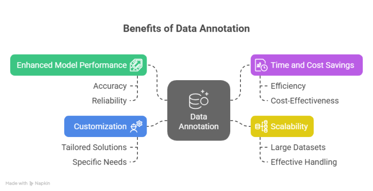 Data Annotation: Everything You Need to Know | Maxicus
