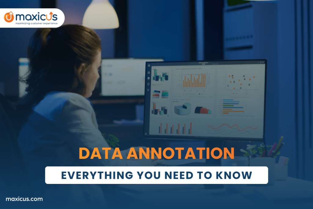 Data Annotation: Everything You Need to Know | Maxicus