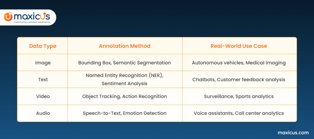 Data Annotation: Everything You Need to Know | Maxicus