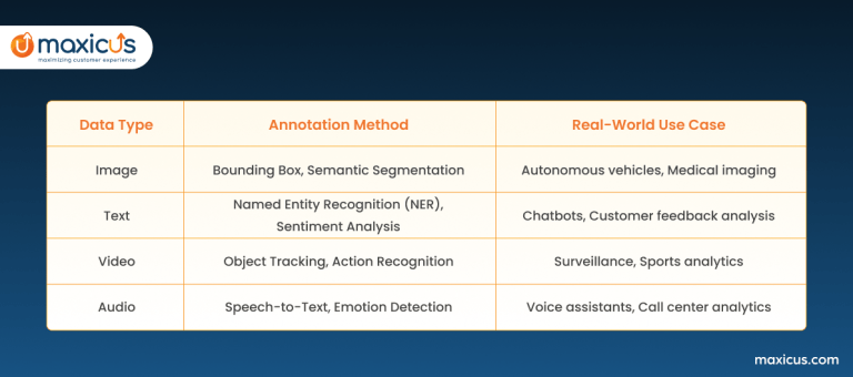 Data Annotation: Everything You Need to Know | Maxicus